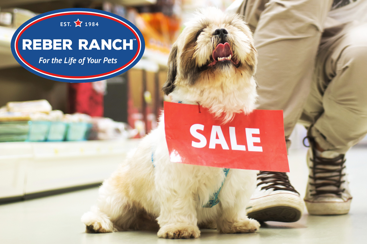 Current Sales - Kent, WA - Reber Ranch