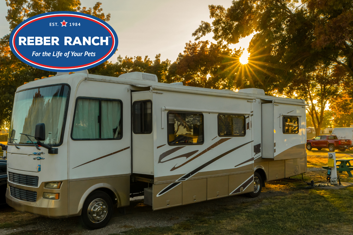 RV Storage 20' - Kent, WA - Reber Ranch & Pet Central