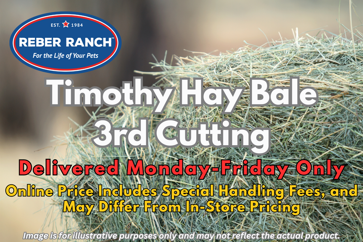 Reber Ranch Timothy Hay Bale - 3rd Cutting - Kent, WA - Reber Ranch