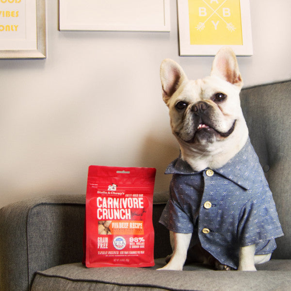 Stella & Chewy's Carnivore Crunch Grain Free Beef Recipe Freeze Dried ...
