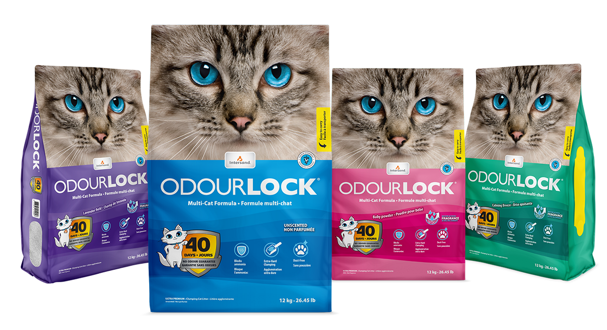 Intersand Ultra Premium Multi-Cat Litter Formula Unscented - Kent, WA ...