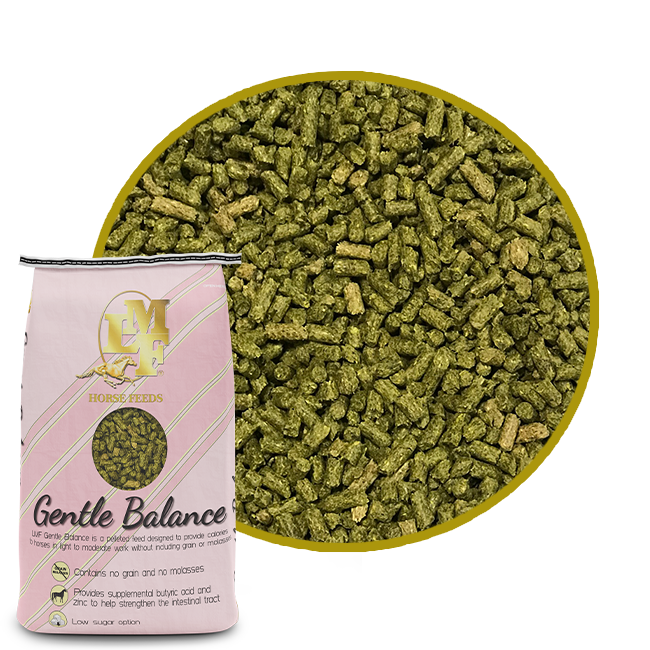 LMF Gentle Balance - Kent, WA - Reber Ranch